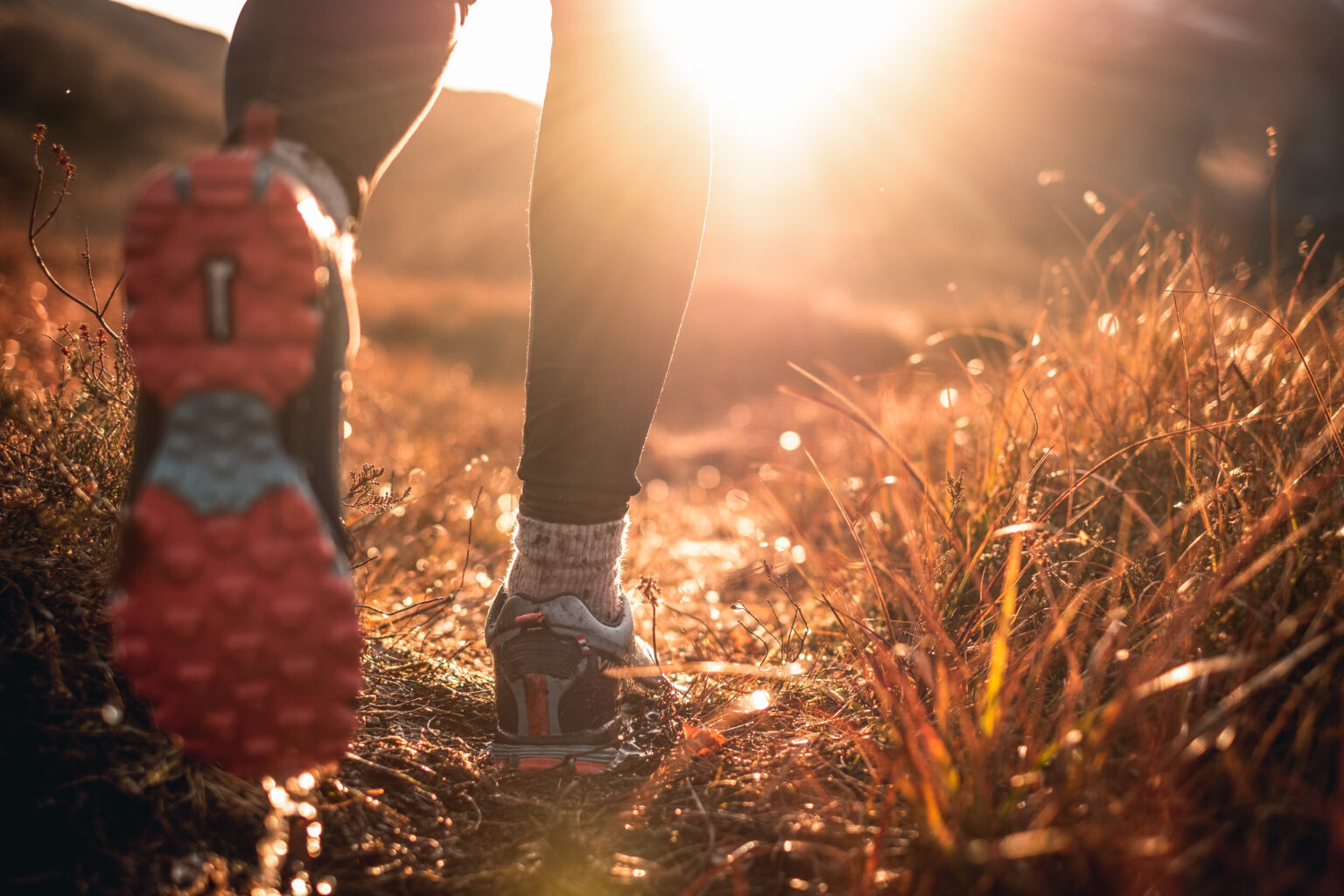 Does Sunlight Increase Serotonin Levels? - SerotoninDefizit.com