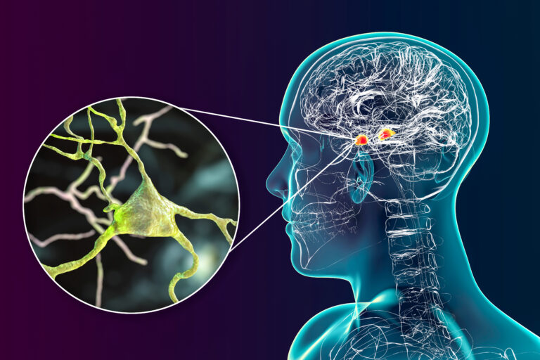 What is Serotonin? A Neurotransmitter for Mood, Sleep and More ...